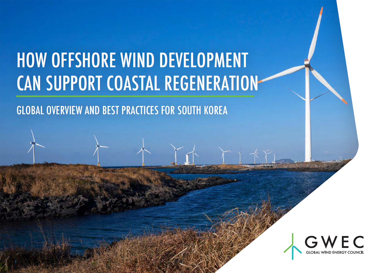 How offshore wind development can support coastal regeneration: Global overview and best ...